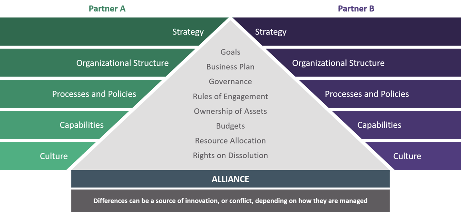 Virtual Alliance Launch Best Practices